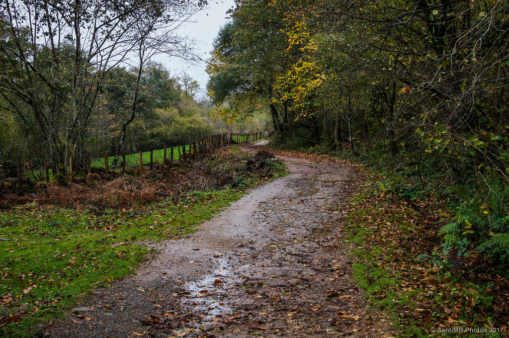 Petricor - SantiMB.Photos